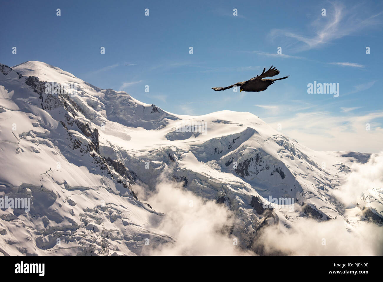 Every think is possible when you are free Stock Photo - Alamy