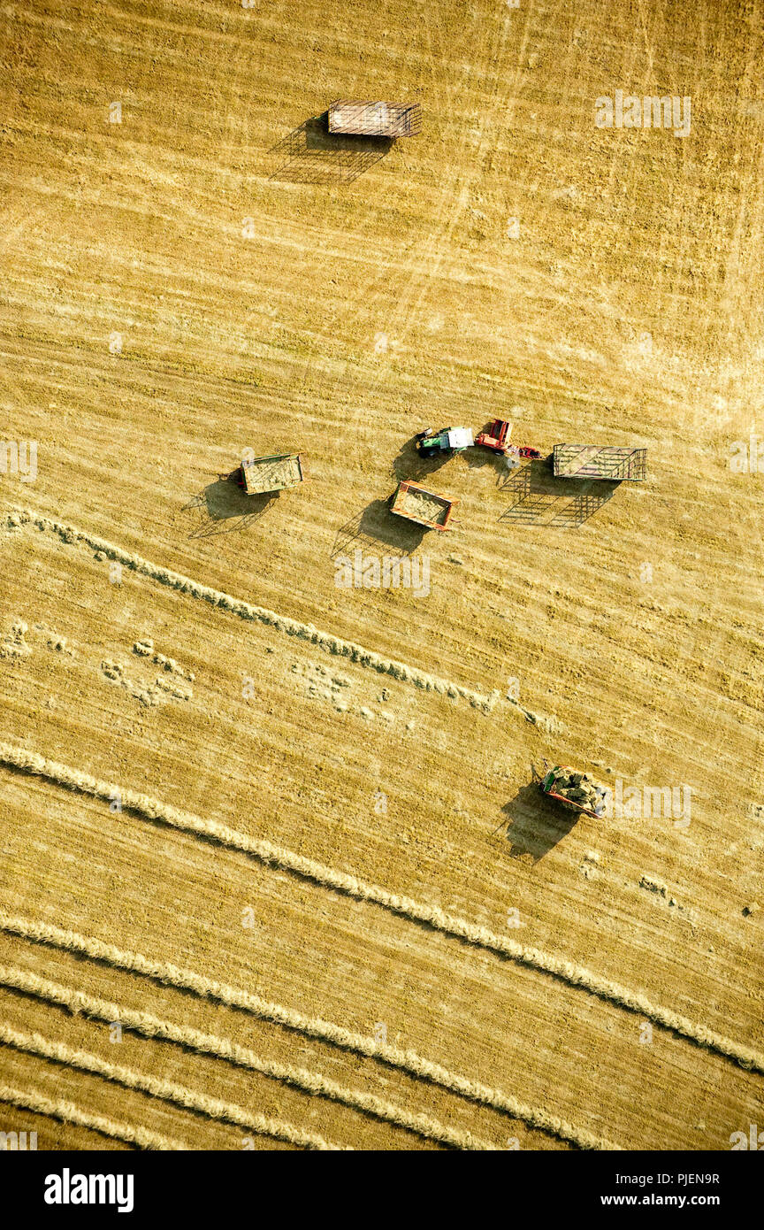 A tractor is harvesting a field, seen from above Stock Photo - Alamy