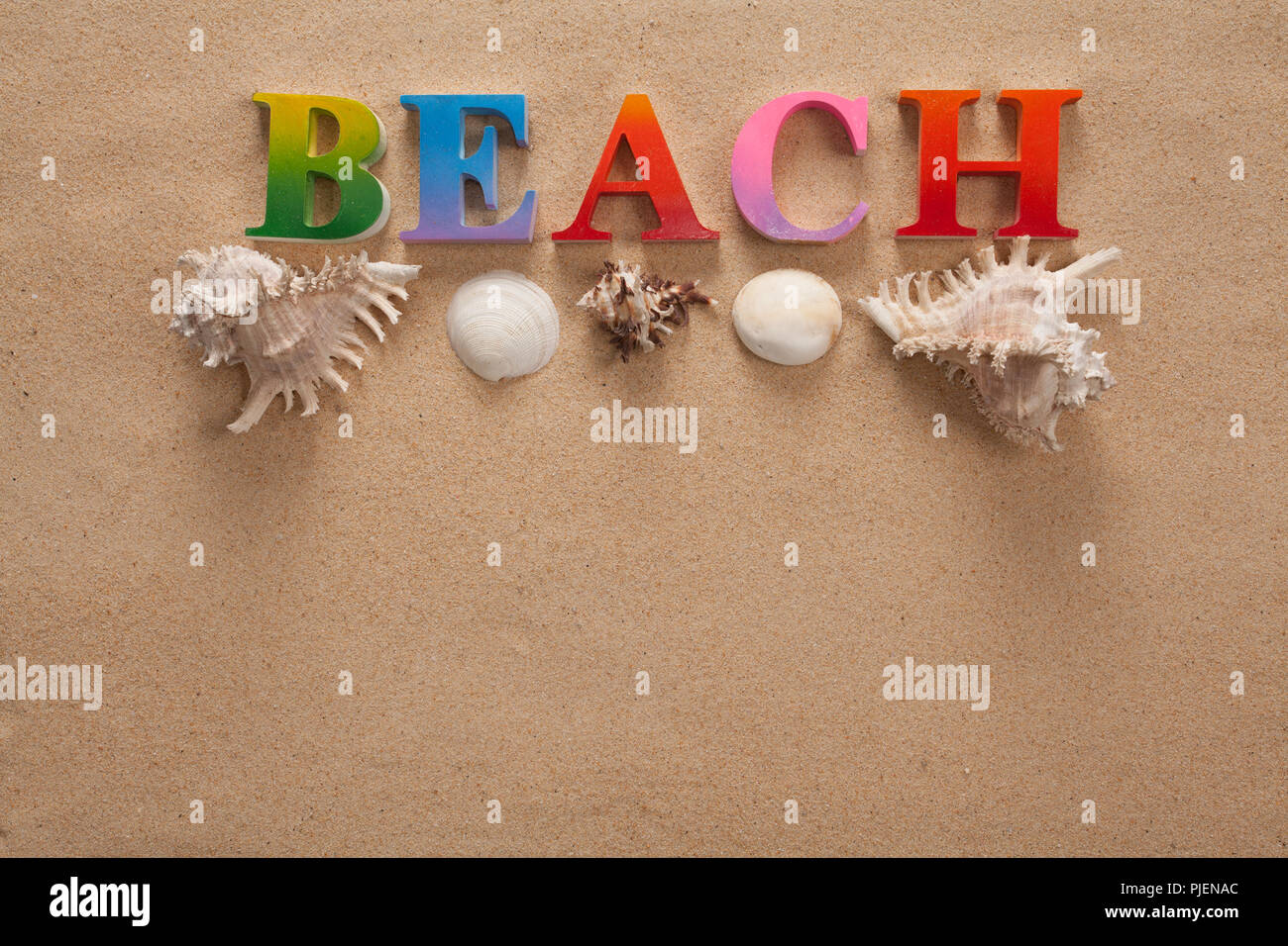 top view of beach written in colorful letters decorate with shellfish ...