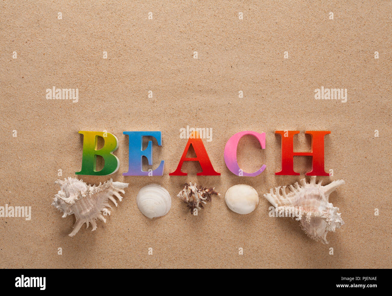 top view of beach written in colorful letters decorate with shellfish ...