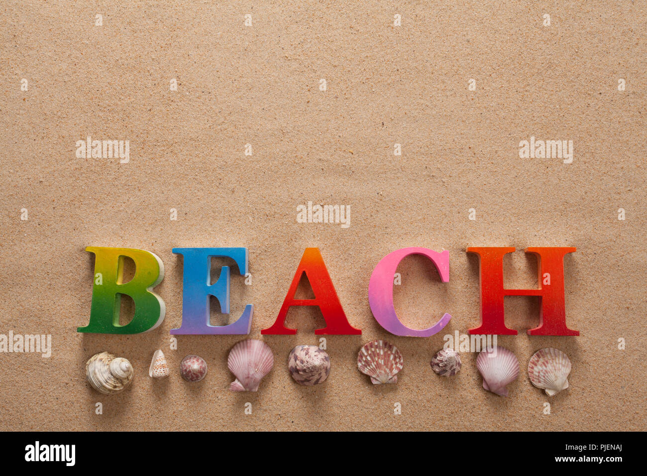 top view of beach written in colorful letters decorate with shellfish ...