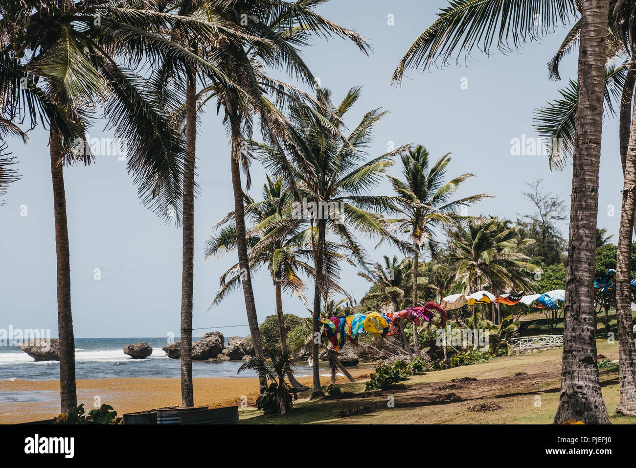 Bathsheba, Barbados - June 27, 2018: Beach towels drying between palm ...
