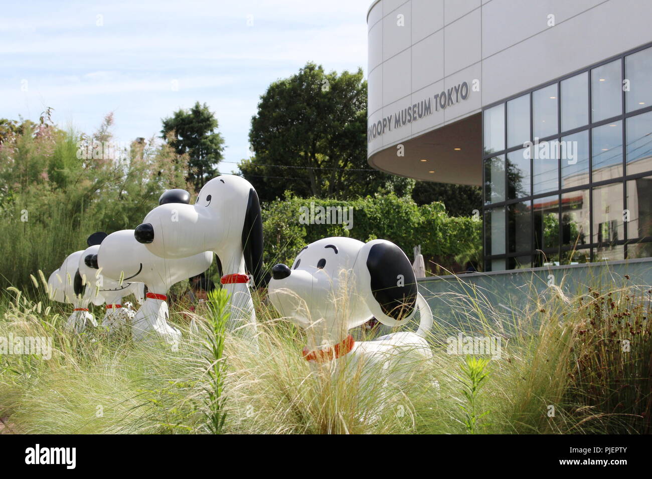 Models of Snoopy in long grass at the front of the Snoopy Museum in ...