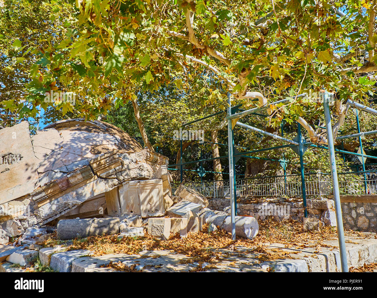 The Tree of Hippocrates, and Gazi Hassan Pasha mosque in background ...