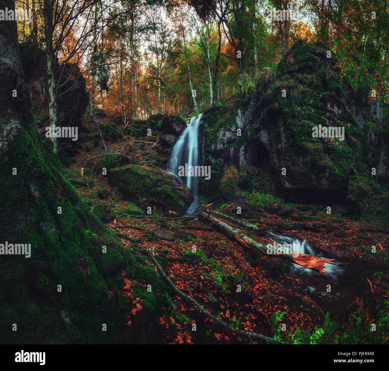 Nature beautiful scenery hi-res stock photography and images - Alamy