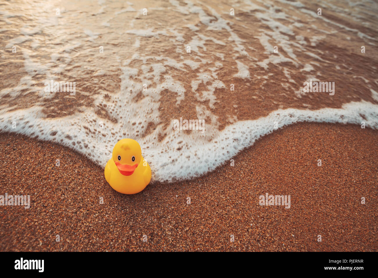Baby duck playing in the water hi-res stock photography and images - Alamy