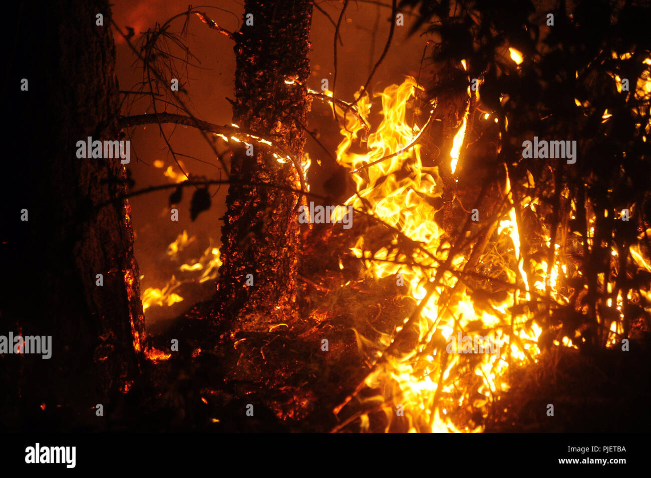 Hotshots laguna hi-res stock photography and images - Alamy