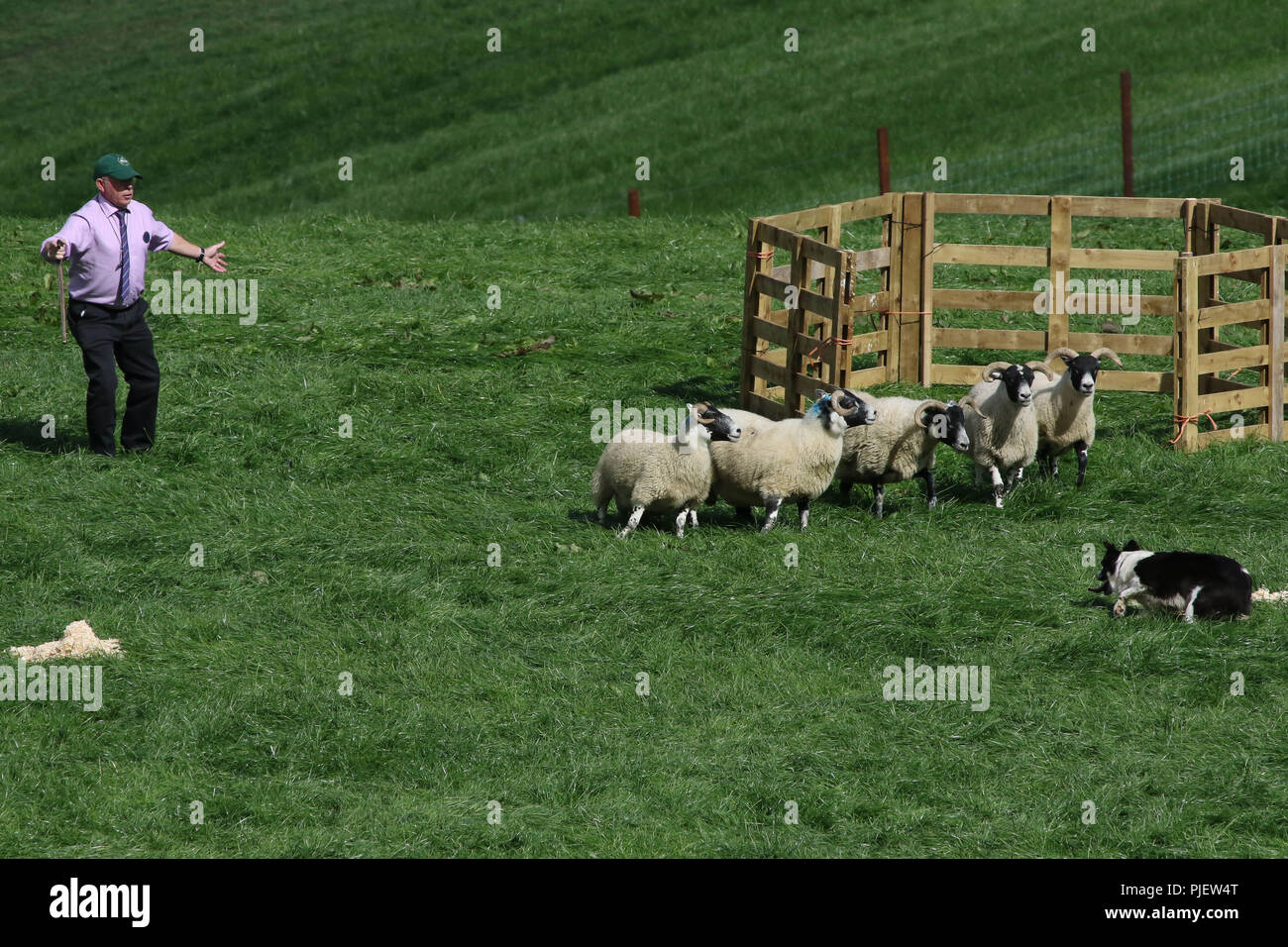 Tara hall hi-res stock photography and images - Alamy