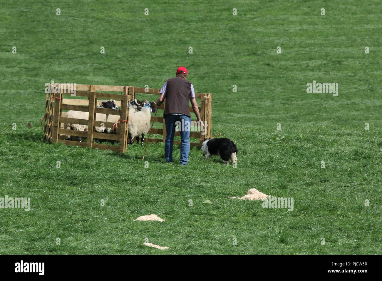 Gill Hall Estate, Dromore, County Down, Northern Ireland. 06 September ...