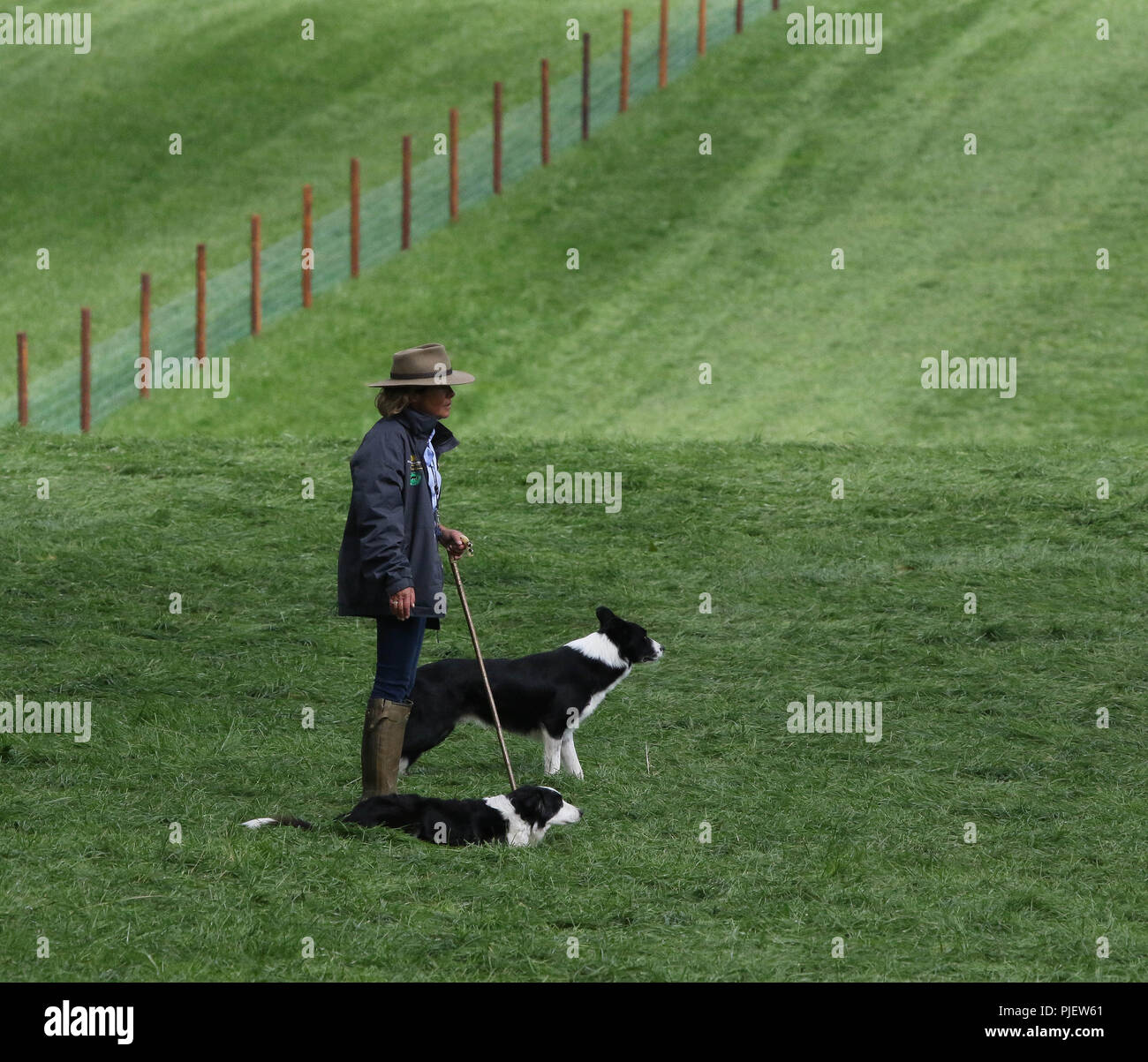 Katy cropper hi-res stock photography and images - Alamy