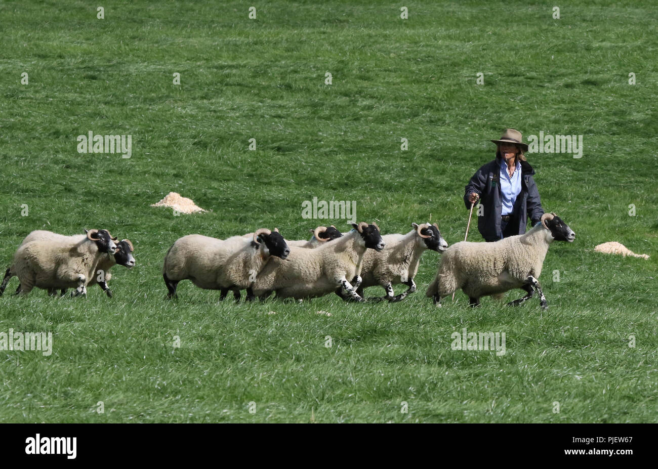 Katy Cropper High Resolution Stock Photography and Images - Alamy