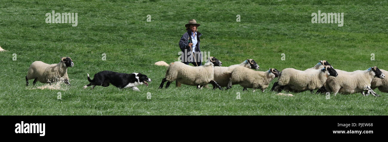 Katy cropper hi-res stock photography and images - Alamy