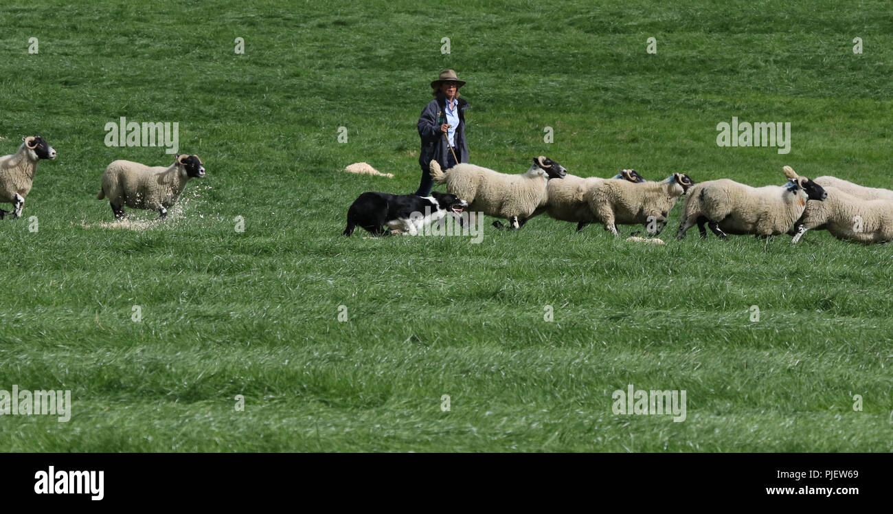 Katy cropper hi-res stock photography and images - Alamy