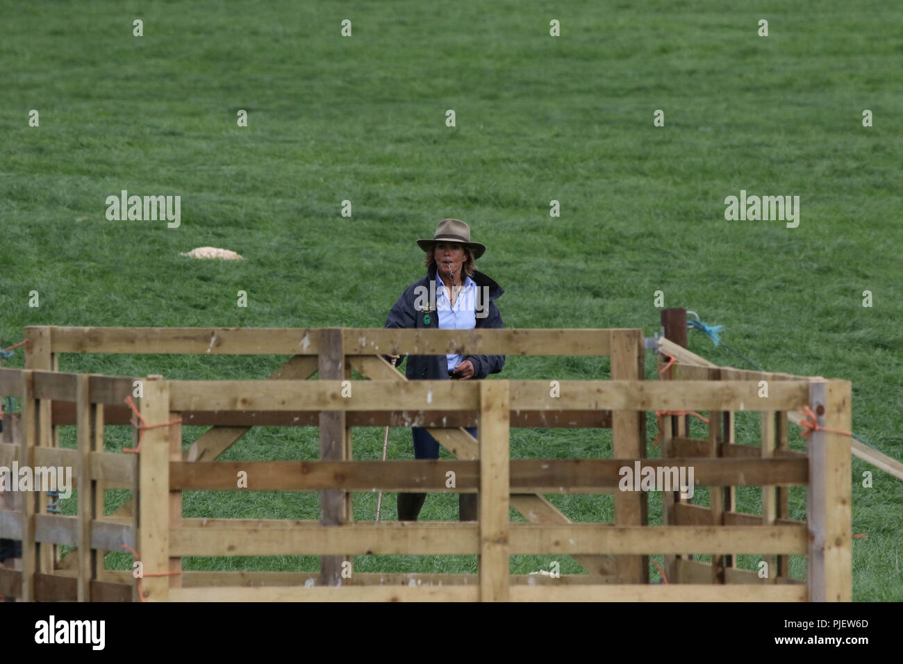 Katy cropper hi-res stock photography and images - Alamy