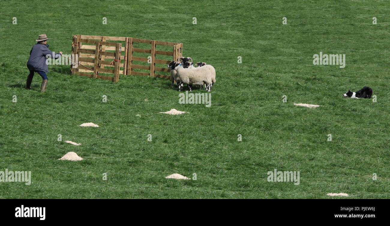 Katy cropper hi-res stock photography and images - Alamy