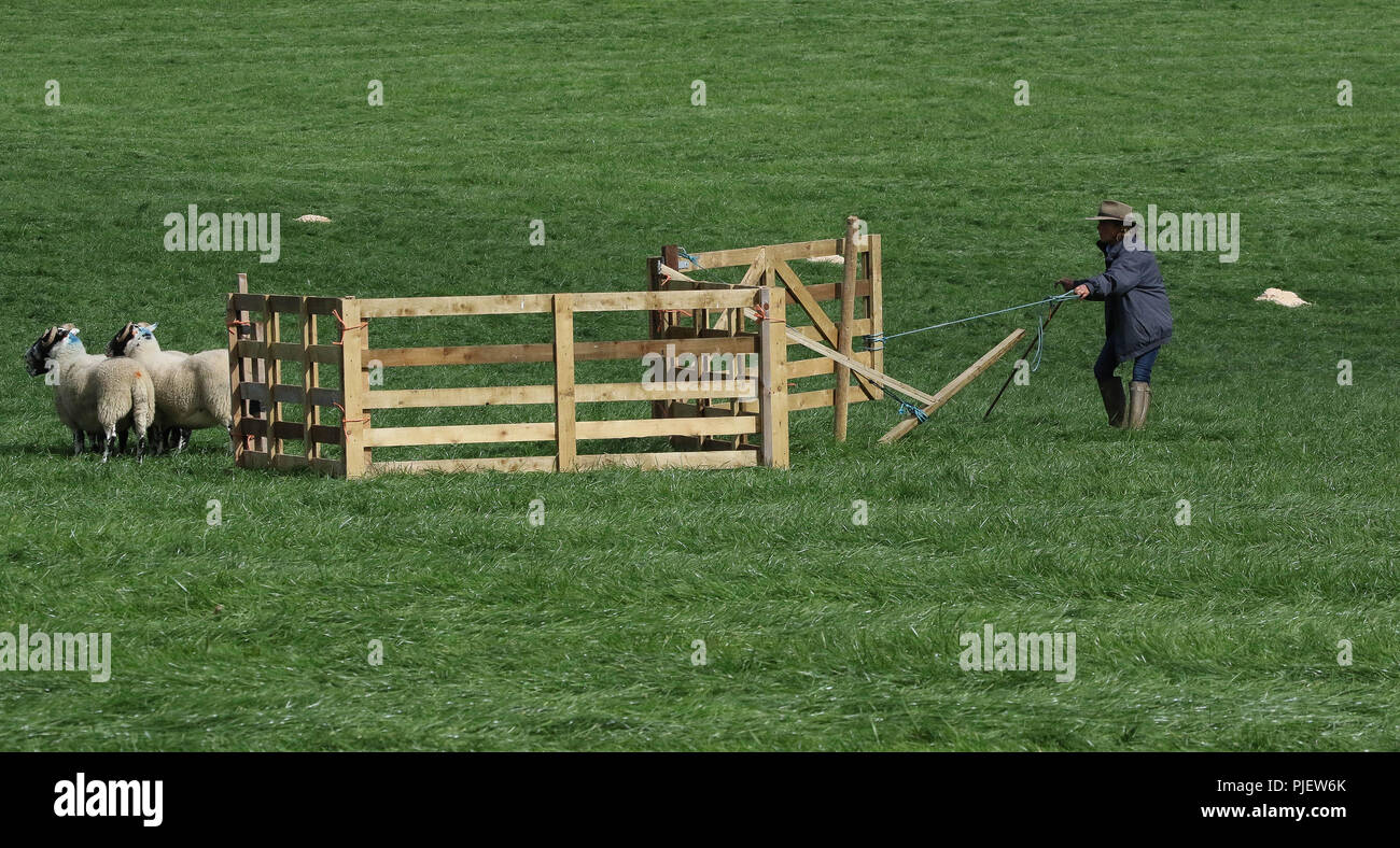 Katy cropper hi-res stock photography and images - Alamy