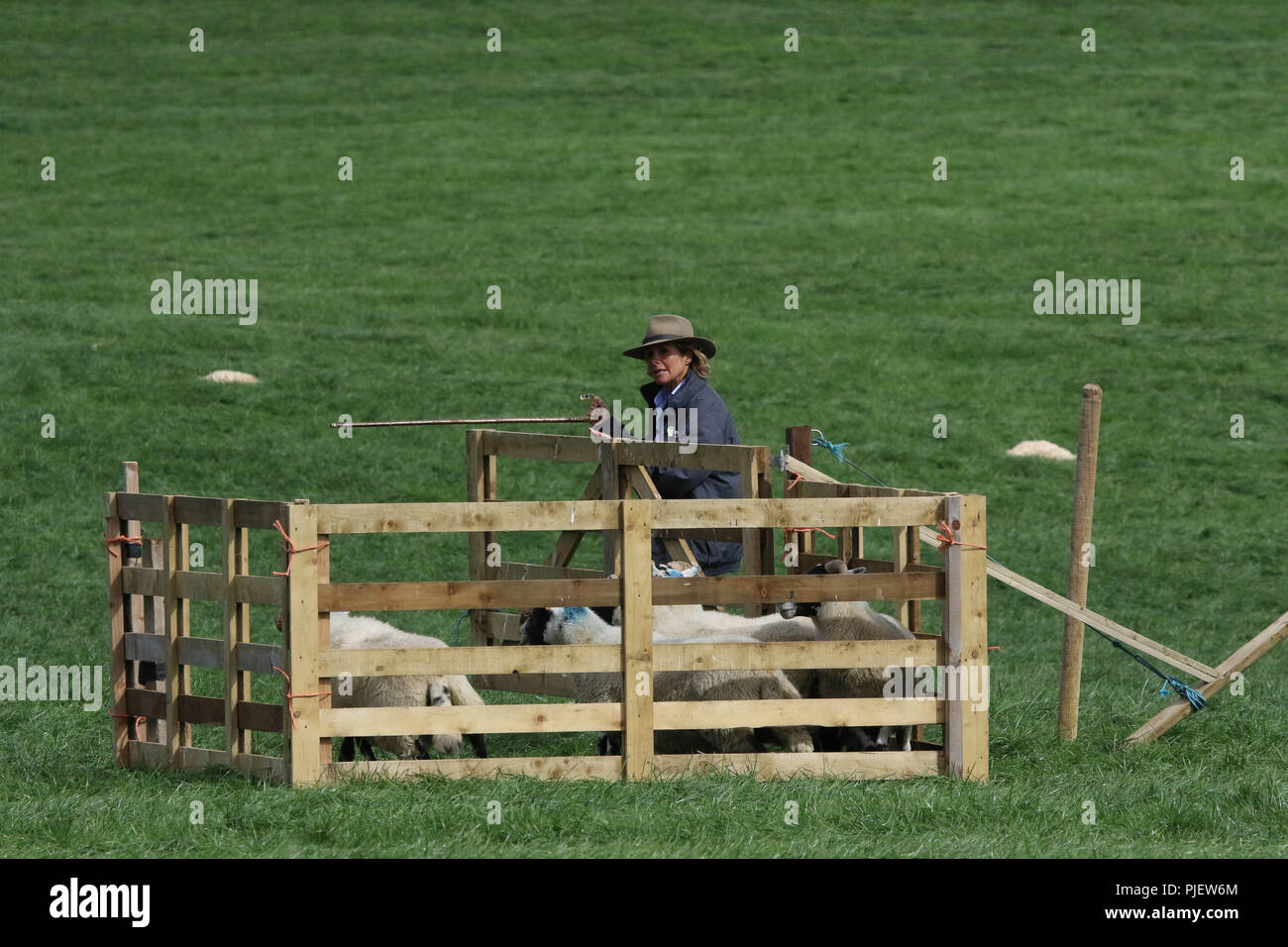 Katy cropper hi-res stock photography and images - Alamy