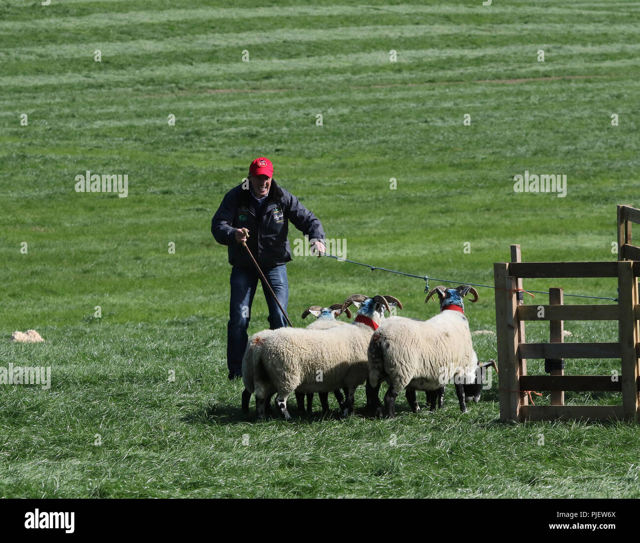 Gill Hall Estate, Dromore, County Down, Northern Ireland. 06 September ...