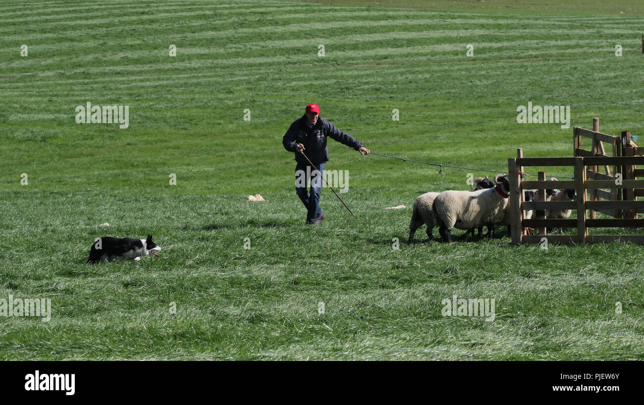 Robert gill hi-res stock photography and images - Alamy