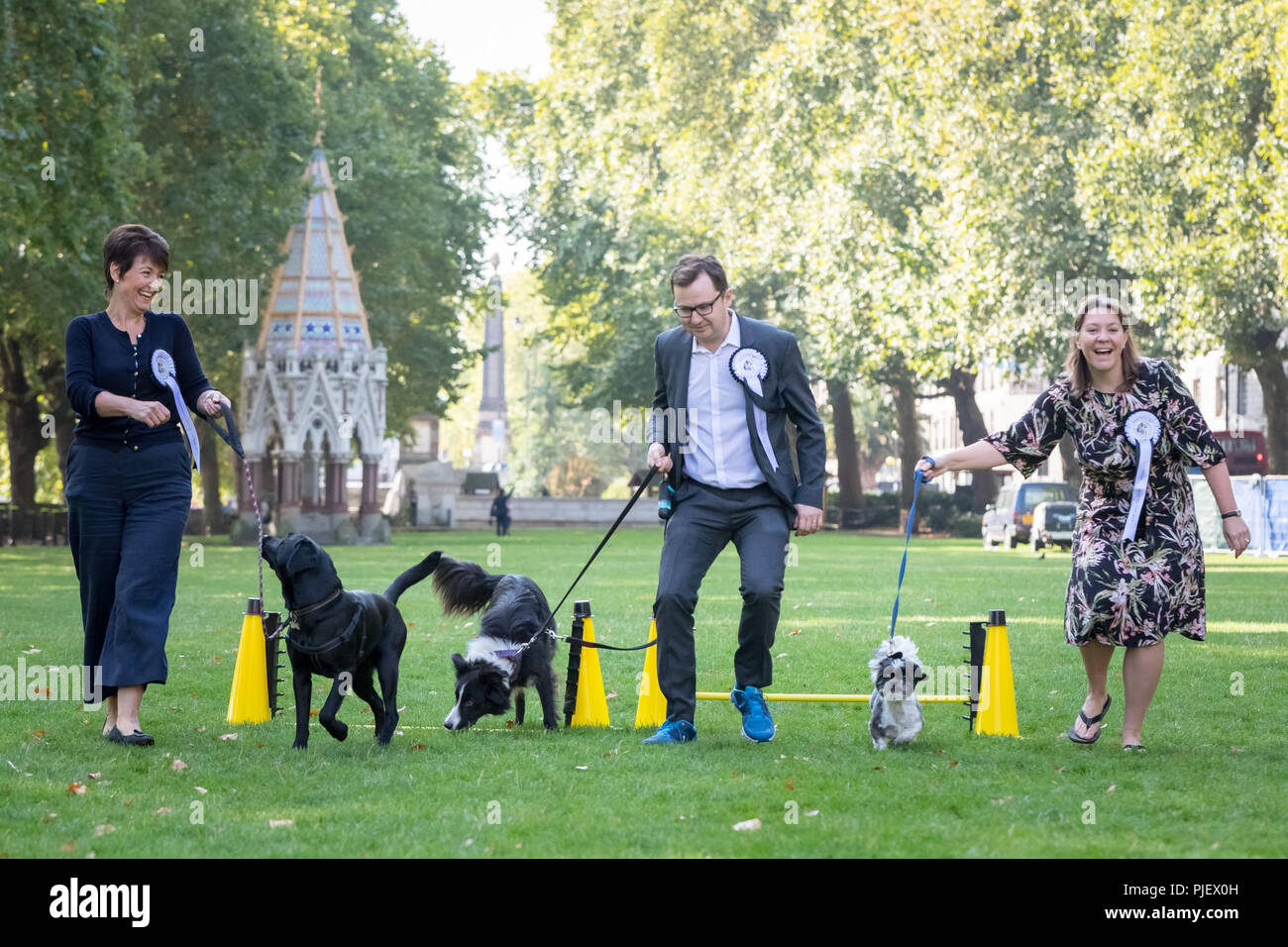 Churchill dog hi-res stock photography and images - Alamy
