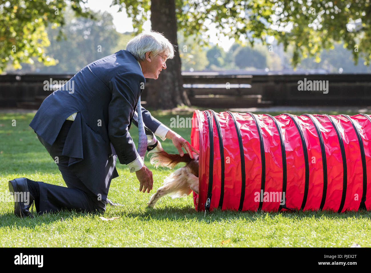 Uk politician dog hi-res stock photography and images - Alamy