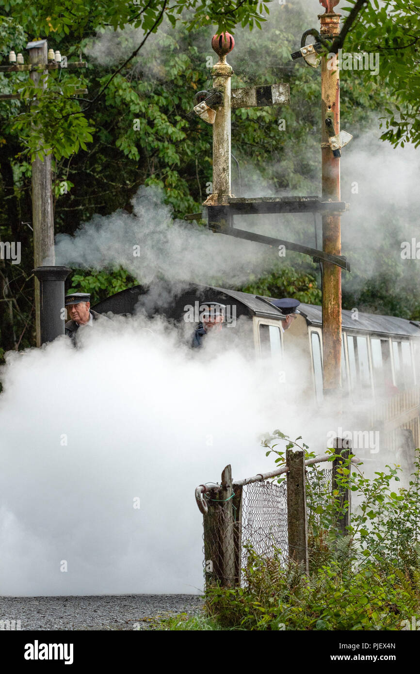 Bala lake railway dog hi-res stock photography and images - Alamy