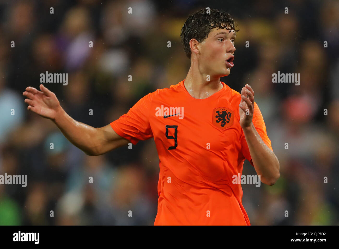 Lammers Stock Photos & Lammers Stock Images - Alamy