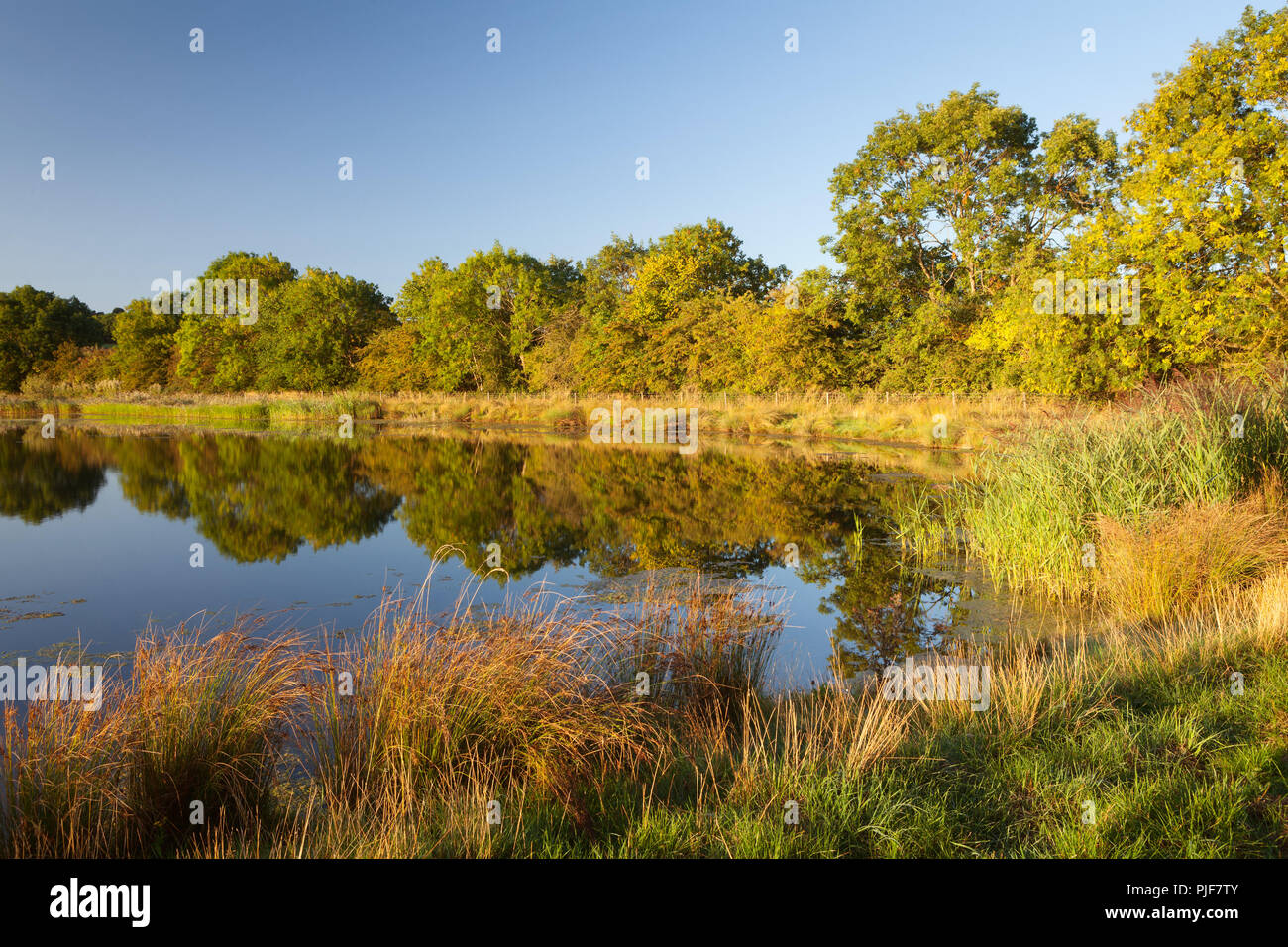 Ings far nature reserve hi-res stock photography and images - Alamy