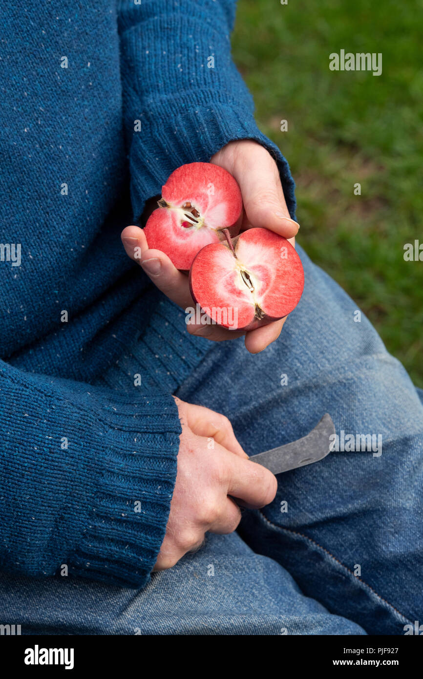 Apple redlove era hi-res stock photography and images - Alamy Apple redlove era hi-res stock photography and images - Alamy