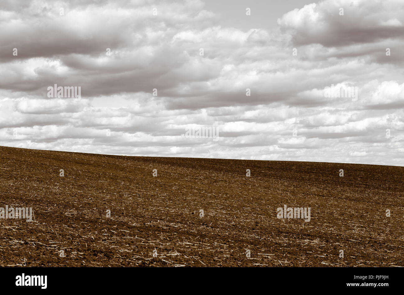 scary view to dark ploughed field and gray sky landscape Stock Photo ...