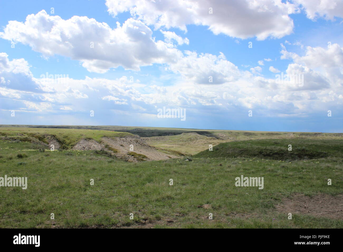 Beautiful prairies hi-res stock photography and images - Alamy