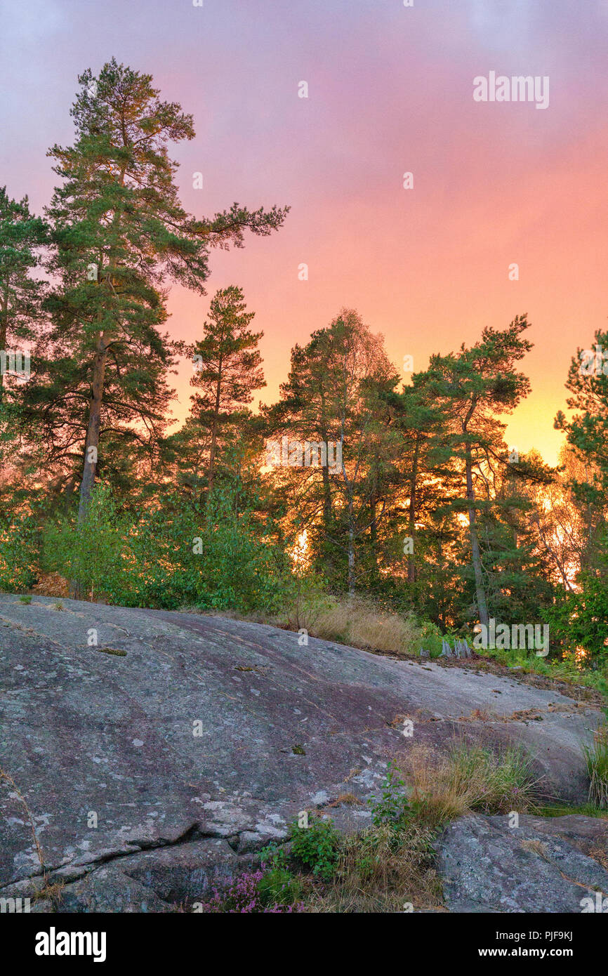 Beautiful late summer sunset behind forest with granite rock in ...