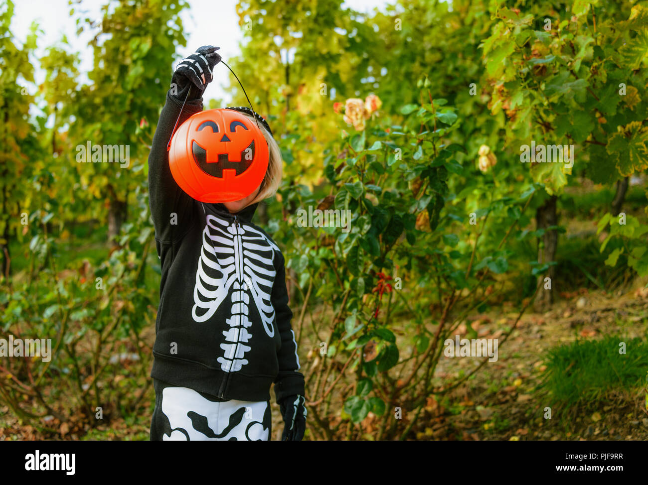 Trick or Treat. child wearing skeleton costume on Halloween outdoors ...