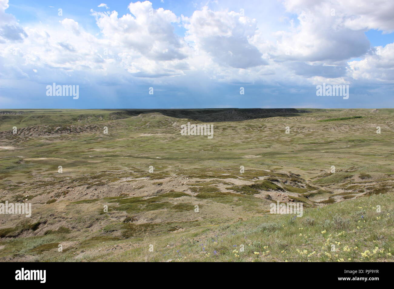 Prairies grasslands hi-res stock photography and images - Alamy