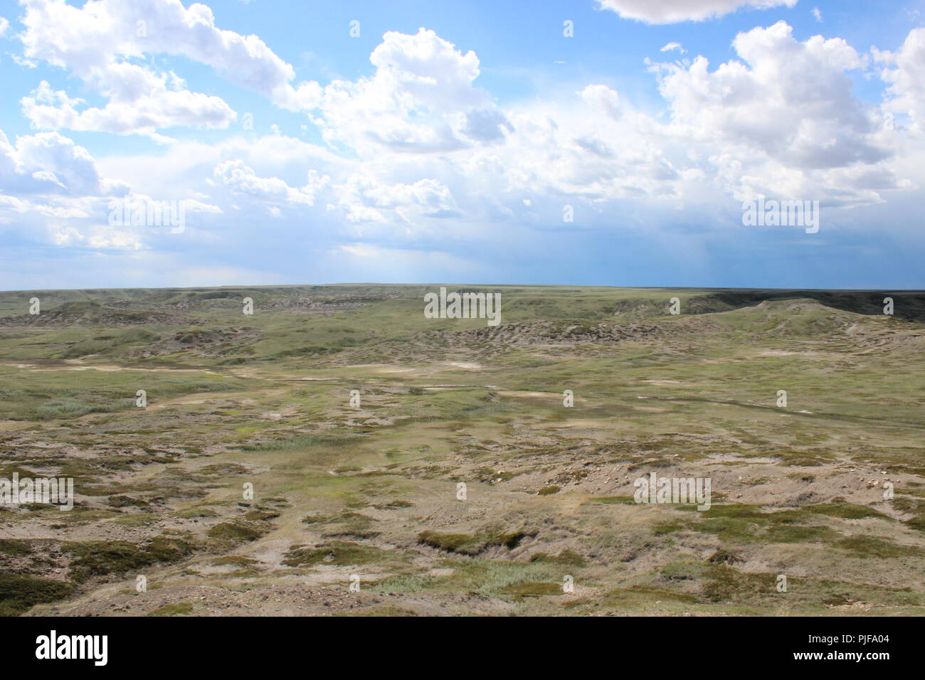Prairies grasslands hi-res stock photography and images - Alamy