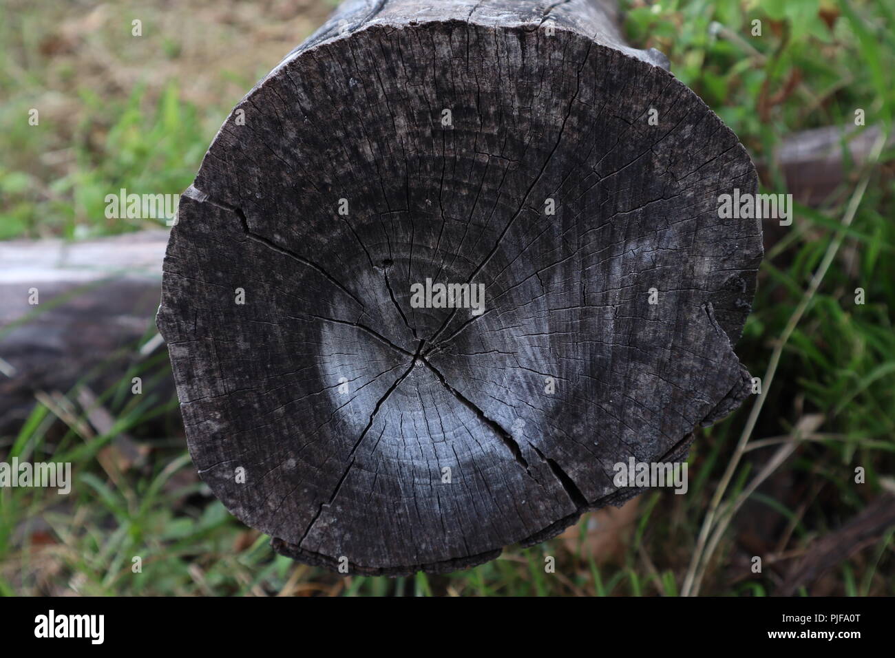 Peace of wood hi-res stock photography and images - Alamy
