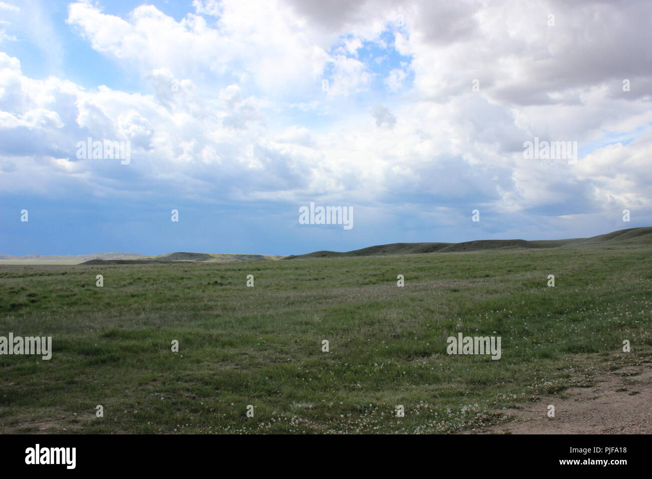 Prairies grasslands hi-res stock photography and images - Alamy
