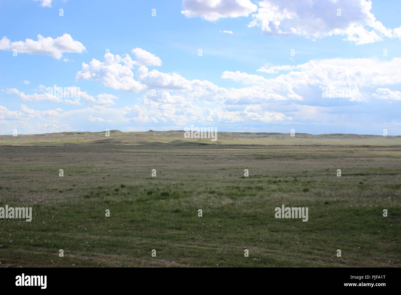 Prairies grasslands hi-res stock photography and images - Alamy