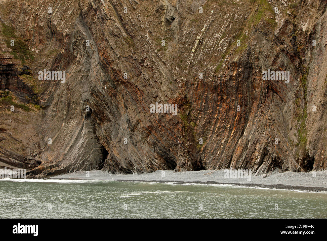 folded Crackington Formation turbiditic sandstones at HArtland Quay ...