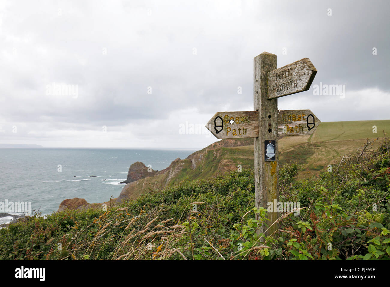 Acorn sign hi-res stock photography and images - Alamy
