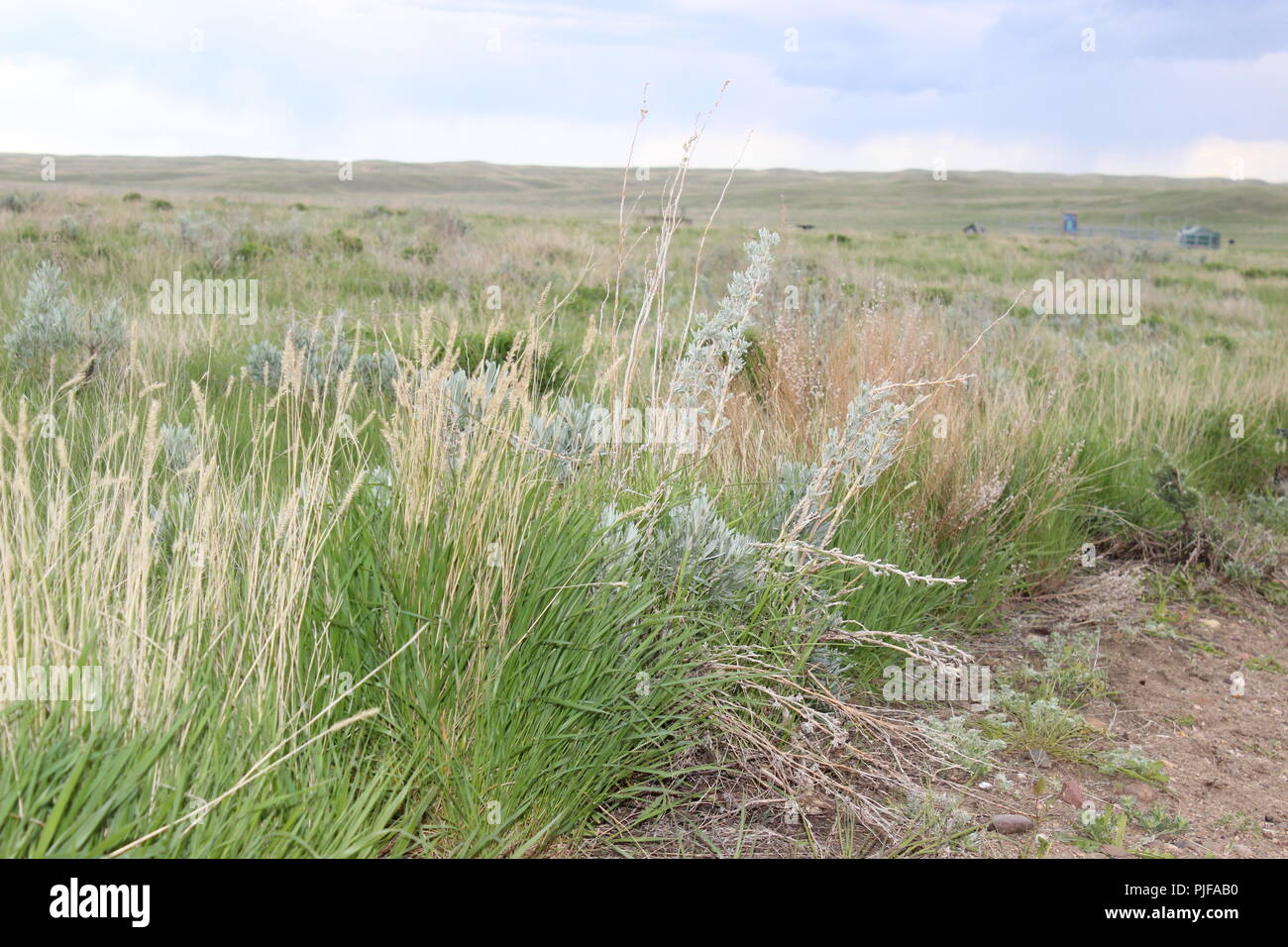 Agriculture weather prairies hi-res stock photography and images - Alamy