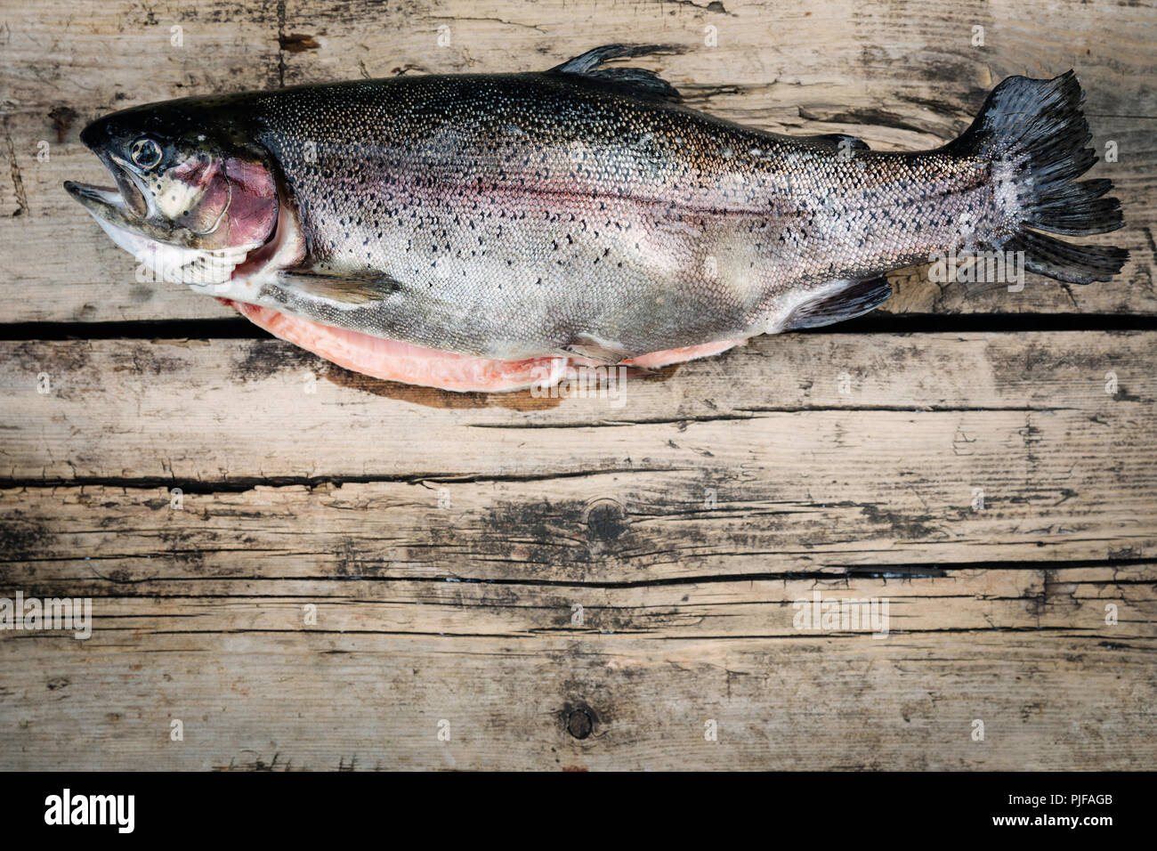Fresh trout fish hi-res stock photography and images - Alamy