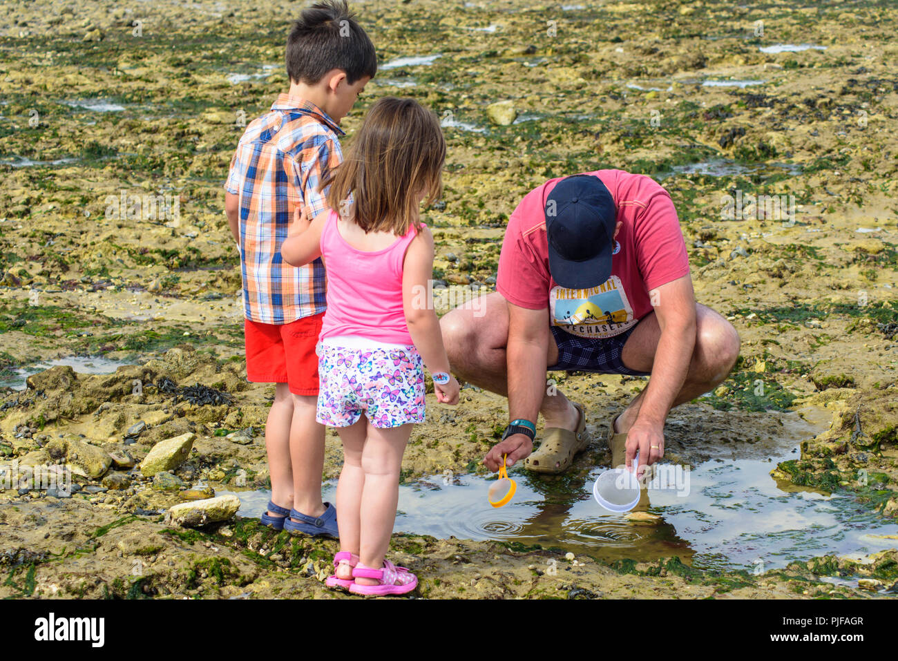 Rock pools uk children parent hi-res stock photography and images - Alamy