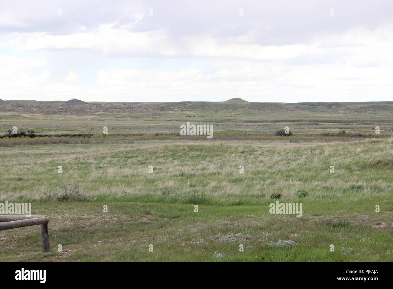 Agriculture weather prairies hi-res stock photography and images - Alamy