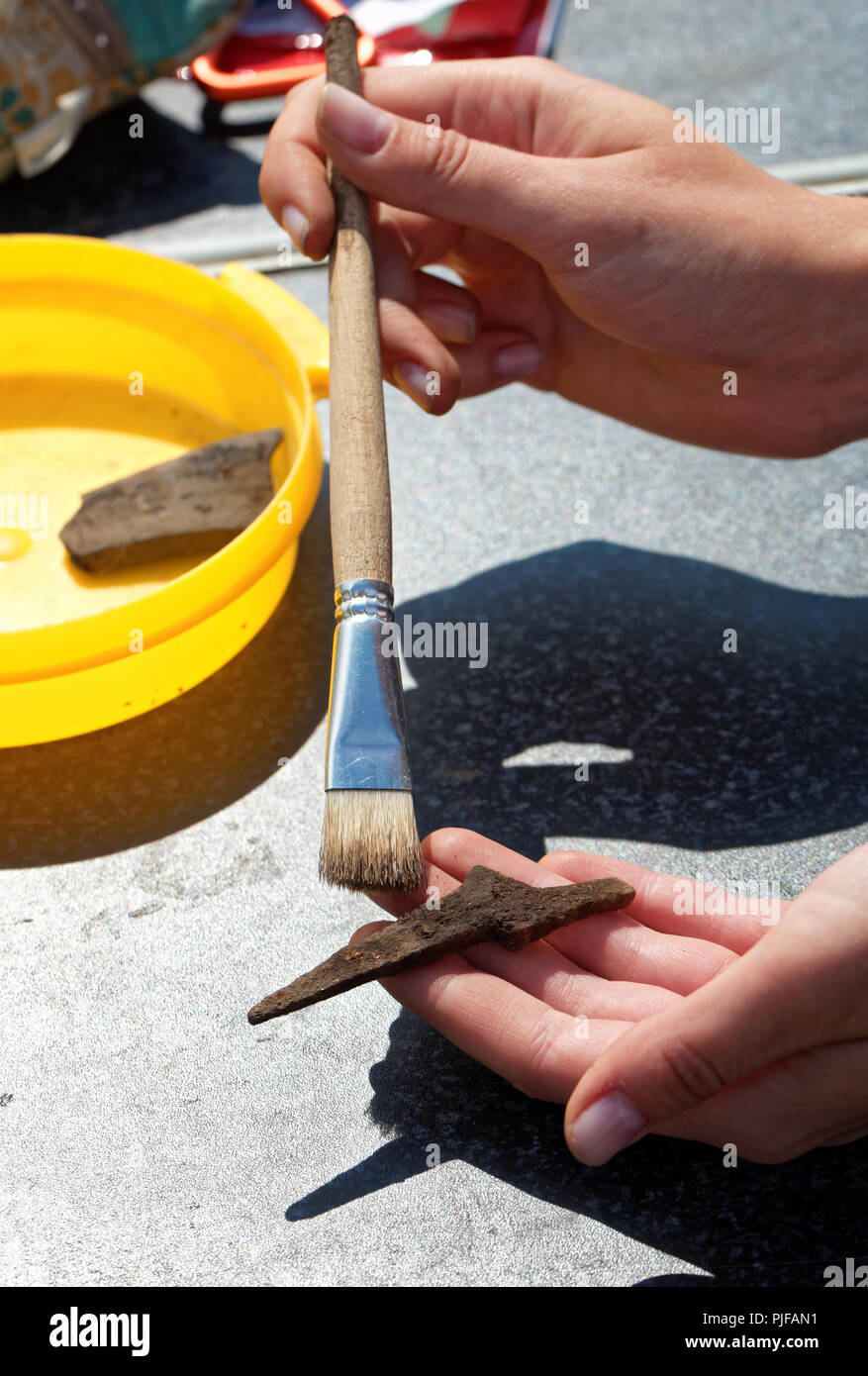 Archaeologist during a field expedition clears brush the find. The iron ...