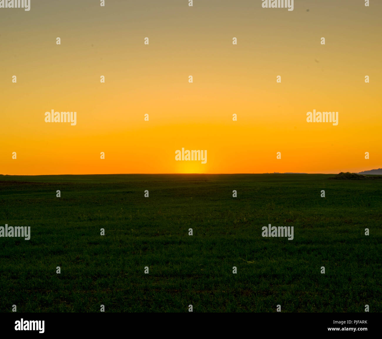 Brazilian colours hi-res stock photography and images - Alamy