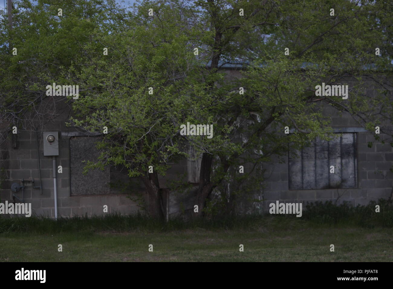 House boarded up windows hi-res stock photography and images - Alamy