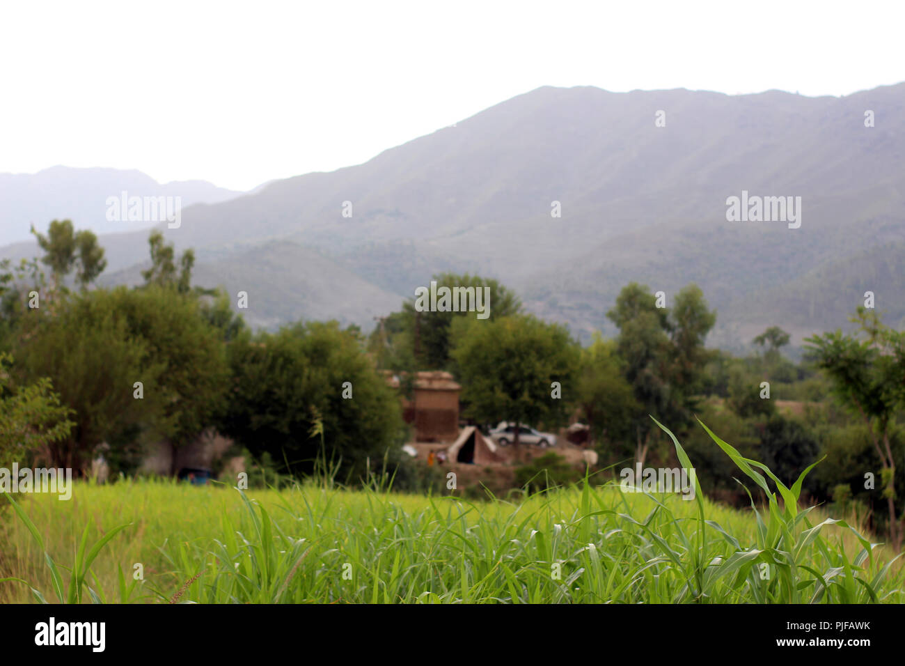 Village Scenery Under Mountains in Haripur Hazara Division of KPK ...