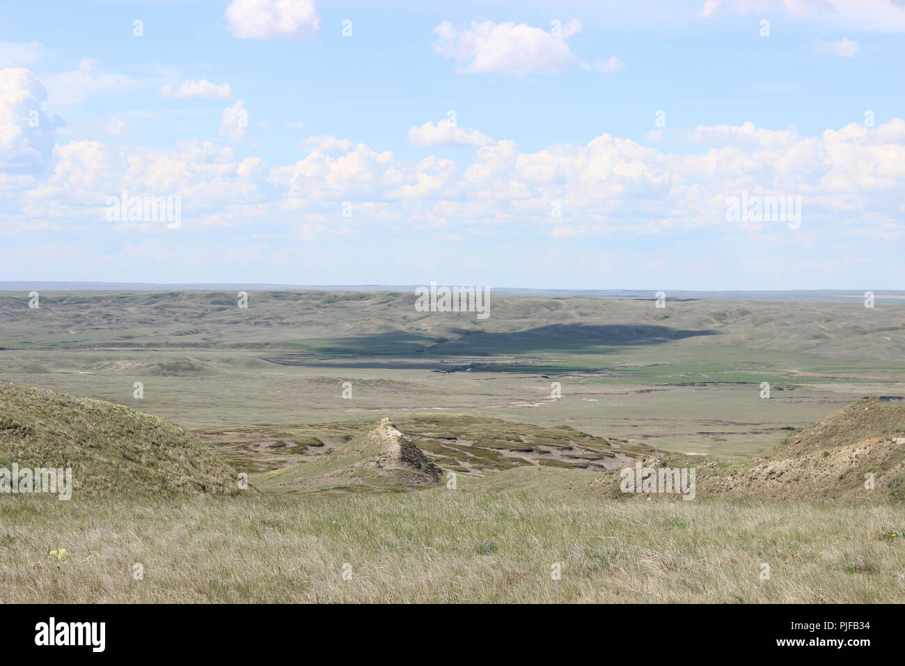 Grasslands canada prairies hi-res stock photography and images - Alamy