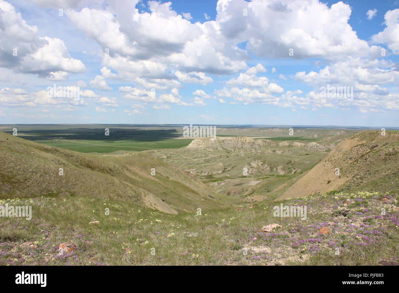 Discover saskatchewan hi-res stock photography and images - Alamy